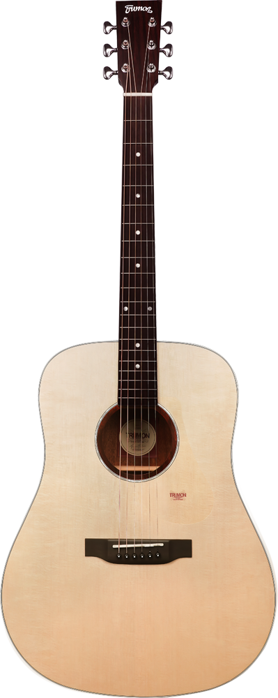 Акустическая гитара Trumon 150DE