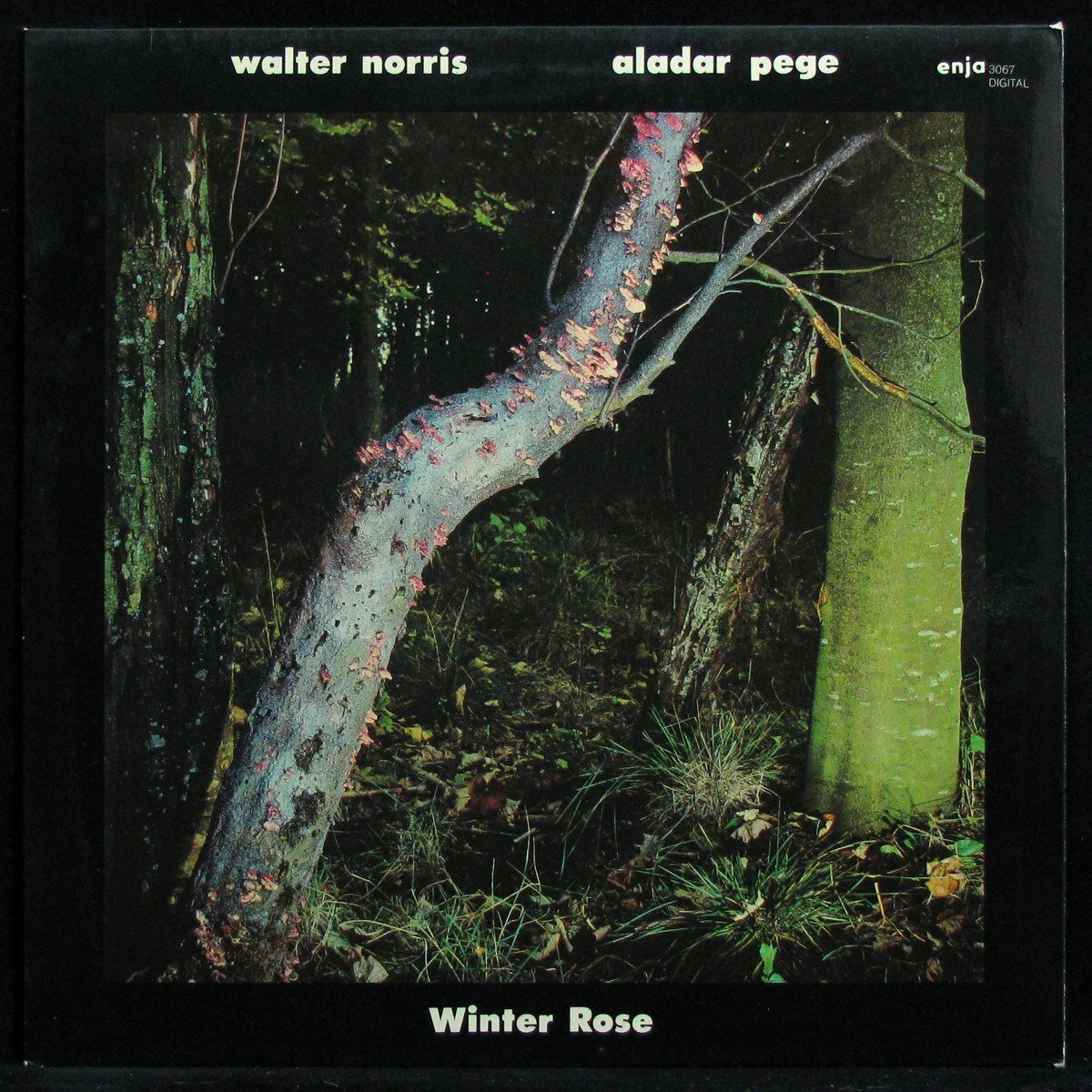 Виниловая пластинка Enja Walter Norris / Aladar Pege – Winter Rose
