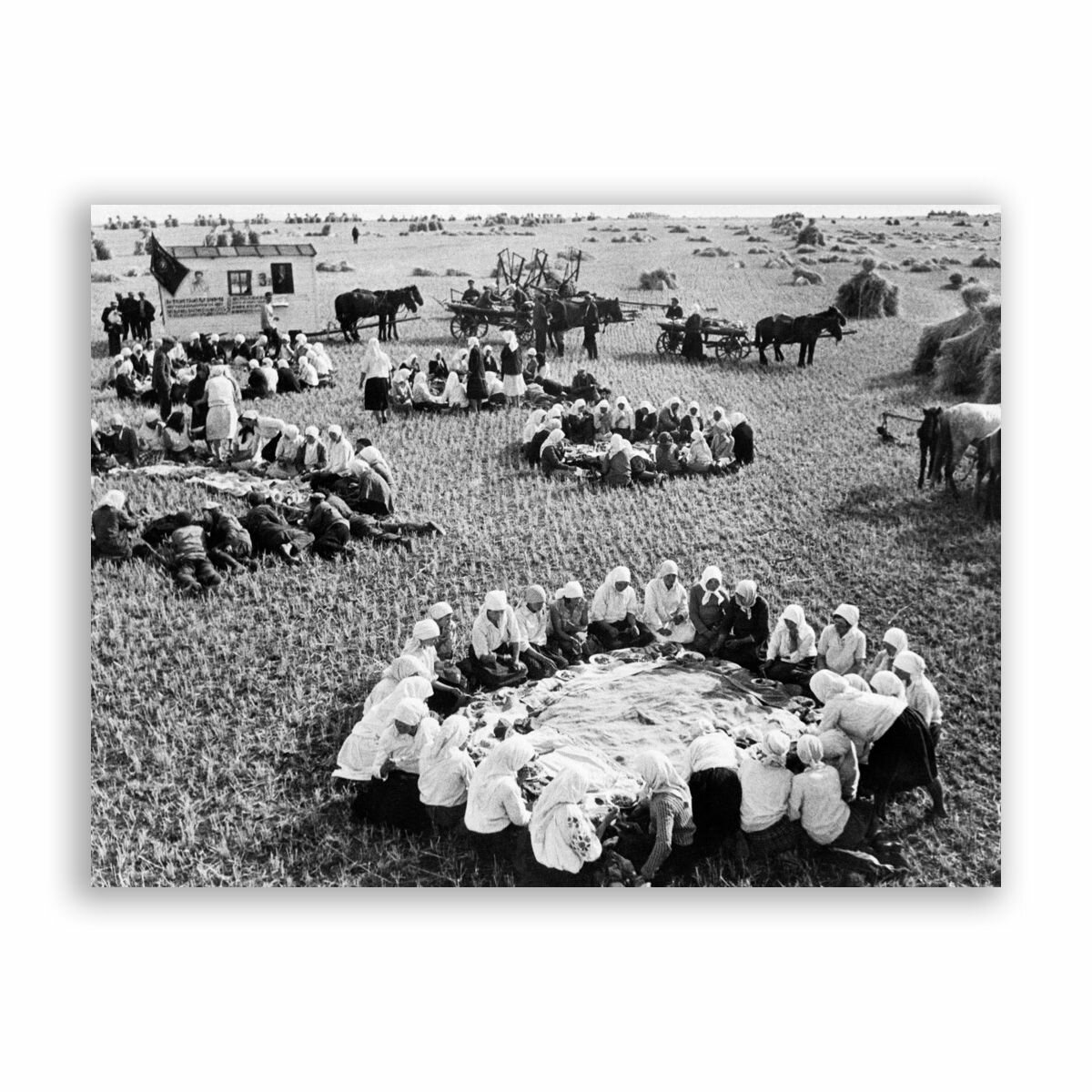 Постер, плакат на бумаге / Обед в поле / Размер 30 x 40 см