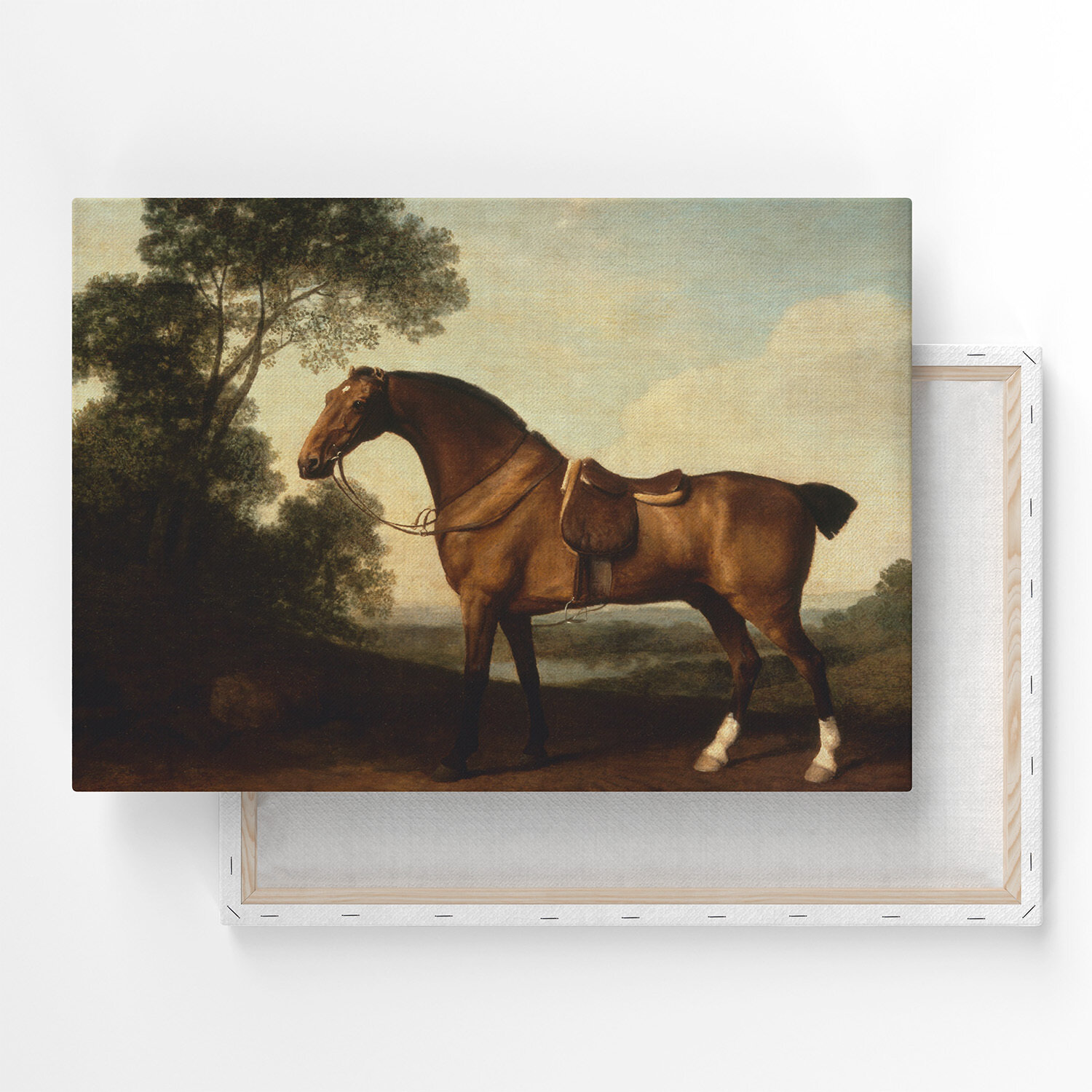 Картина на холсте, репродукция / Джордж Стаббс - A Saddled Bay Hunter / Размер 30 x 40 см
