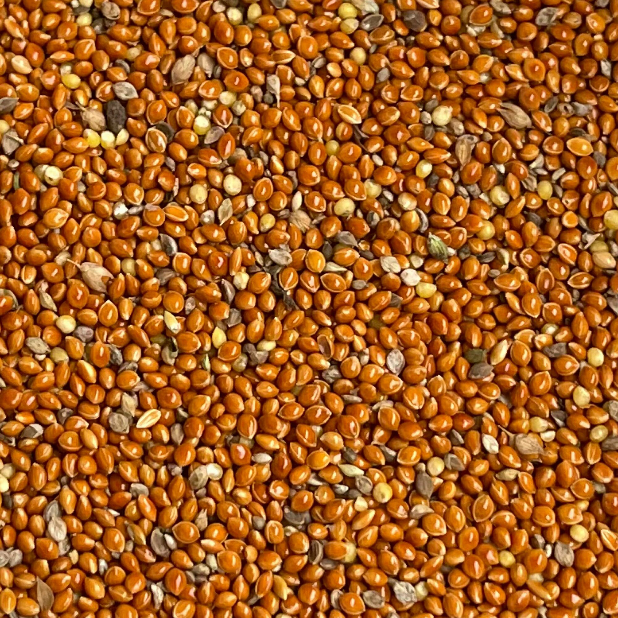 Просо, корм для попугаев волнистых, средних, мелких / для птиц голубей, лесных и уличных, 2кг