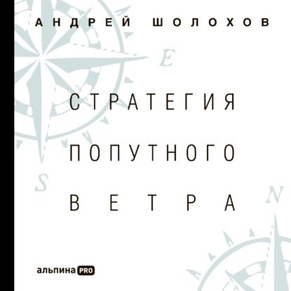 Стратегия попутного ветра. Как обнаружить или создать асимметрии, способные придать бизнесу ускорение [Аудиокнига]