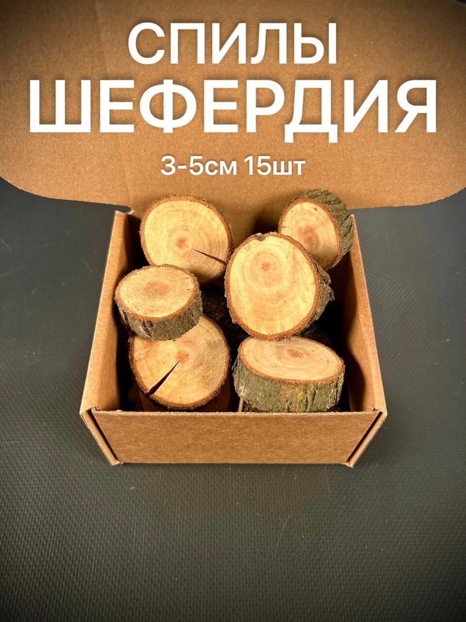Спилы дерева Шефердия, диаметр 3-5 см, толщина 1-1.5 см, 15шт