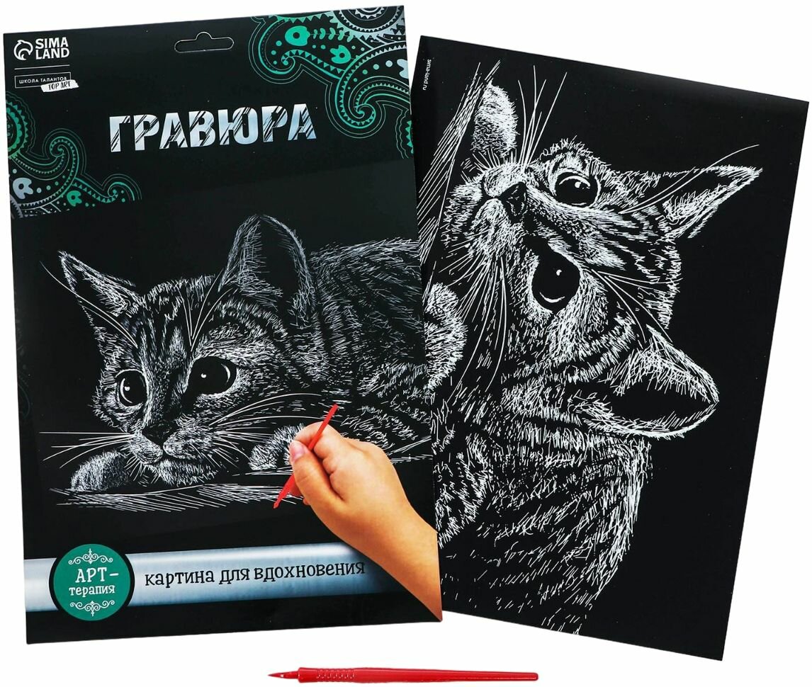 Гравюра "Котёнок" со штихелем, с металлическим эффектом "серебро", А4, основа для картины со скретч-слоем и нанесенным контуром, набор для рисования и творчества, скретчинг
