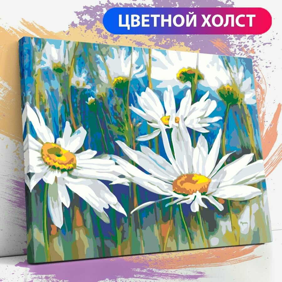 Картина по номерам на холсте с подрамником, "Ромашки", 30х40 см
