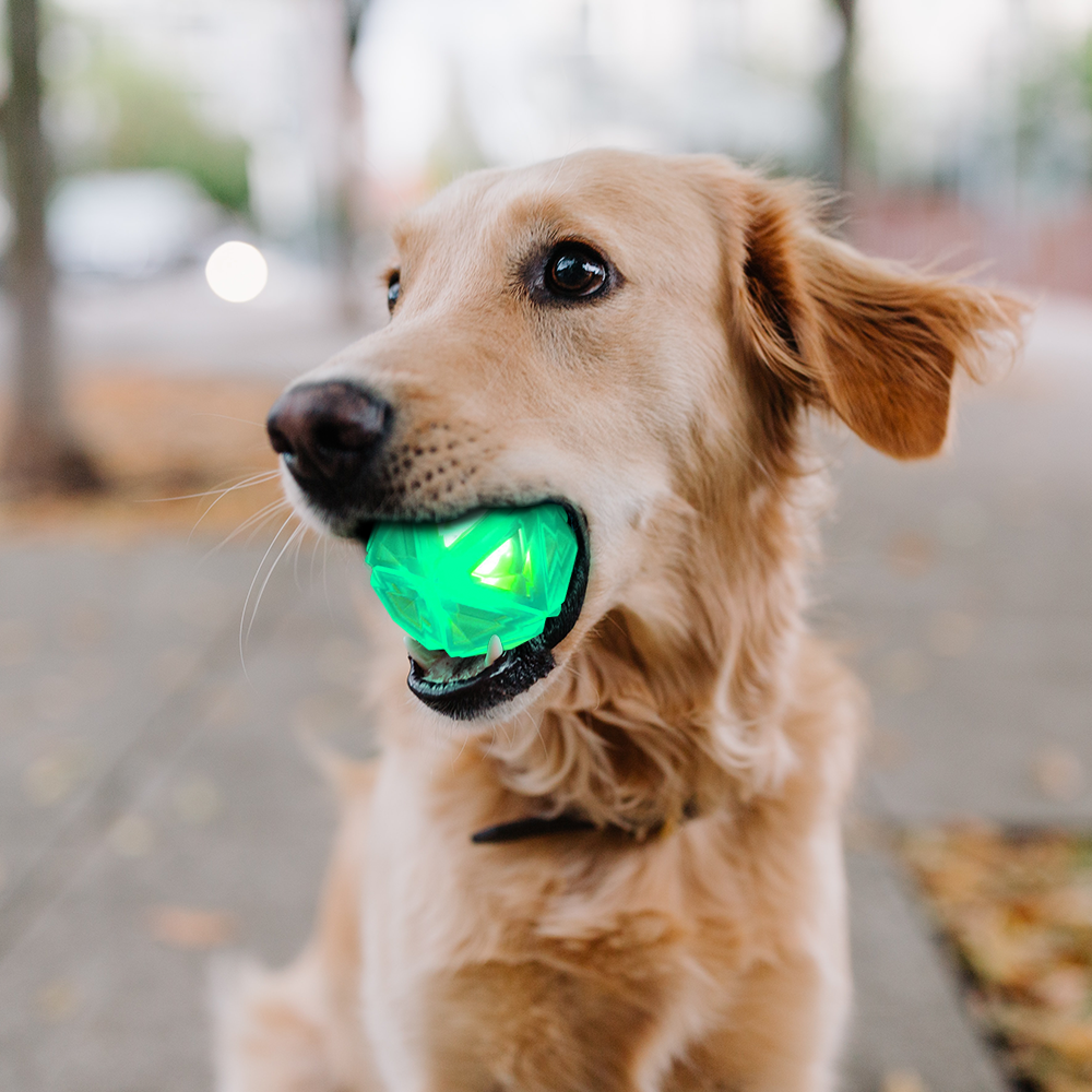 Мяч для собак/ Игрушка пищалка для собак/ светящийся мяч Алмаз/ зеленый мяч с пищалкой, ZOOWELL