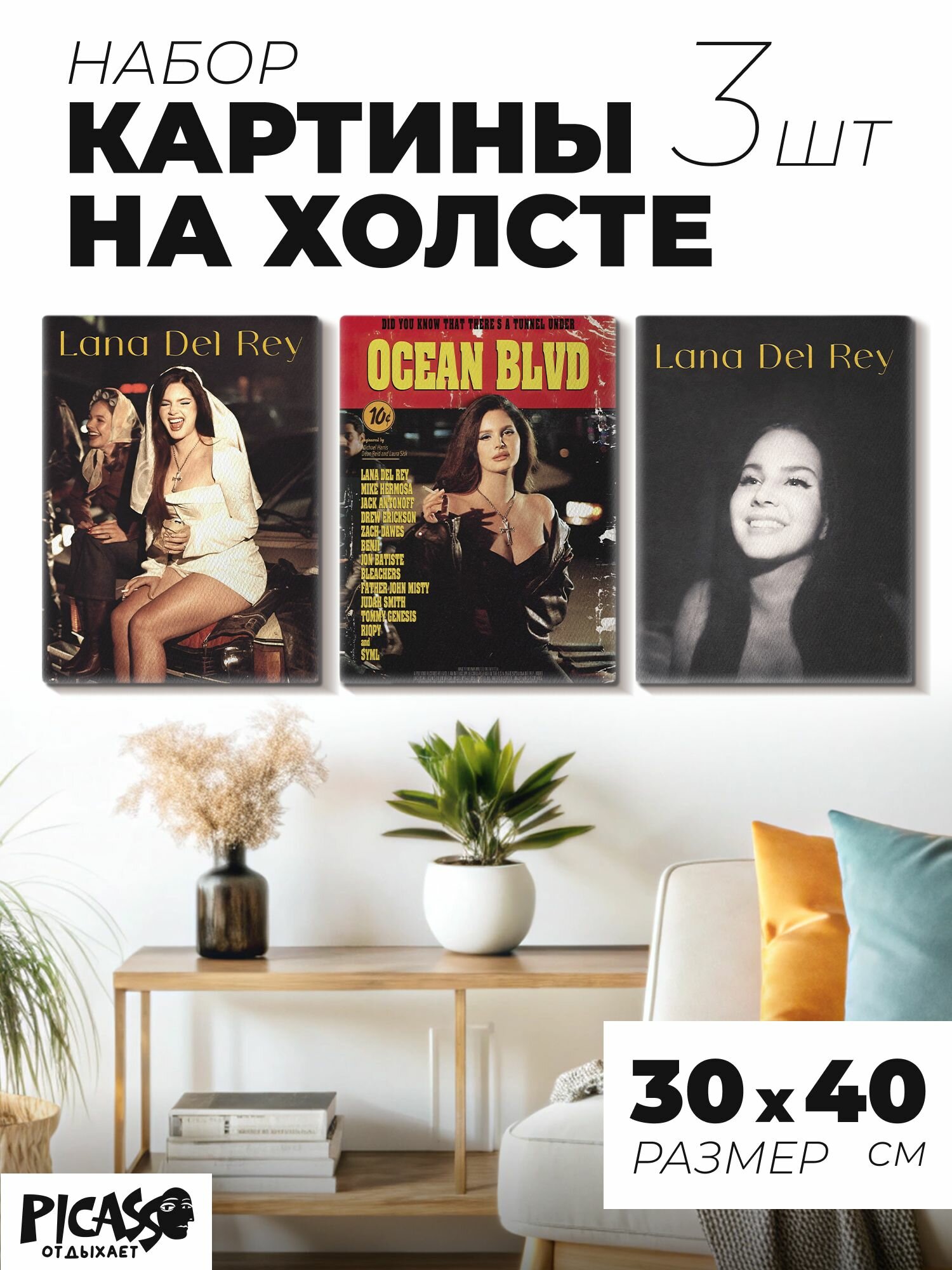 Интерьерная модульная картина Лана Дель Рей 30х40