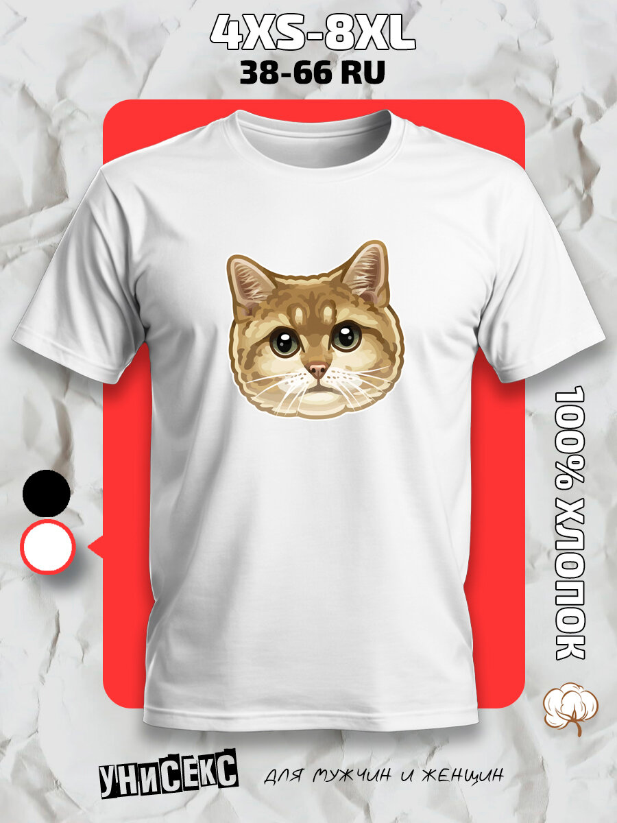 Футболка с принтом котом из мема