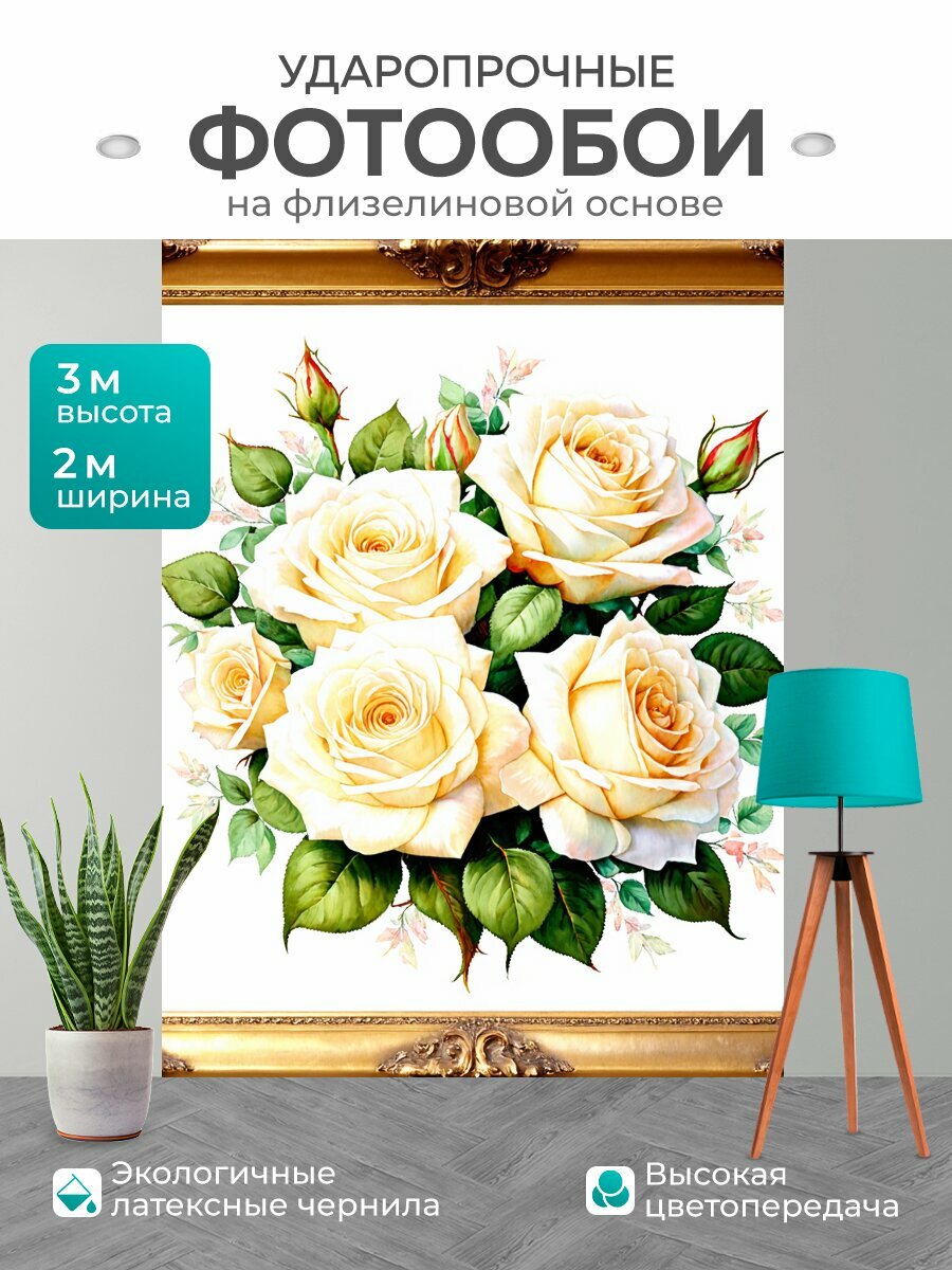 Фотообои моющиеся ударопрочные "Розы в стиле акварельный, изысканная композиция с белыми и кремовыми розами, обрамленные золотыми акцентами и витиеватыми" 200x300 см. флизелиновые на стену