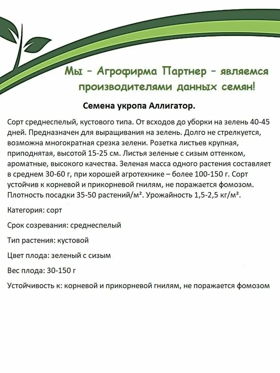 Семена укропа Аллигатор — фото 1