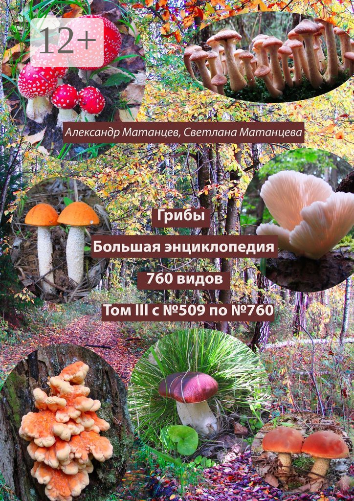 Грибы. Большая энциклопедия. 760 видов