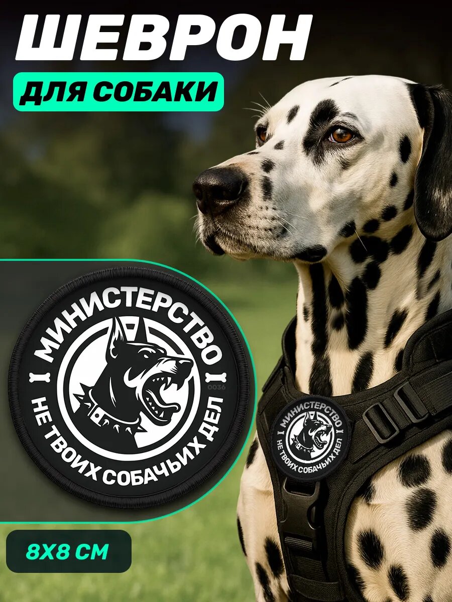 Шеврон для собак Министерство не твоих собачьих дел