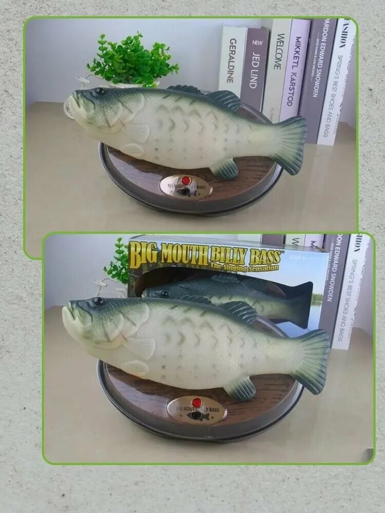 Поющая рыба — фото 1