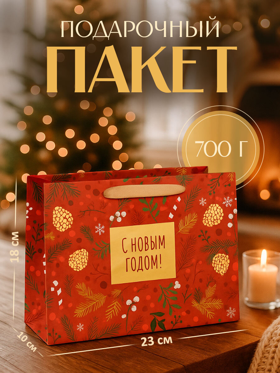 Подарочный пакет «Время волшебства», MS 23 х 18 х 10 см, красный, для упаковки подарка на Новый Год