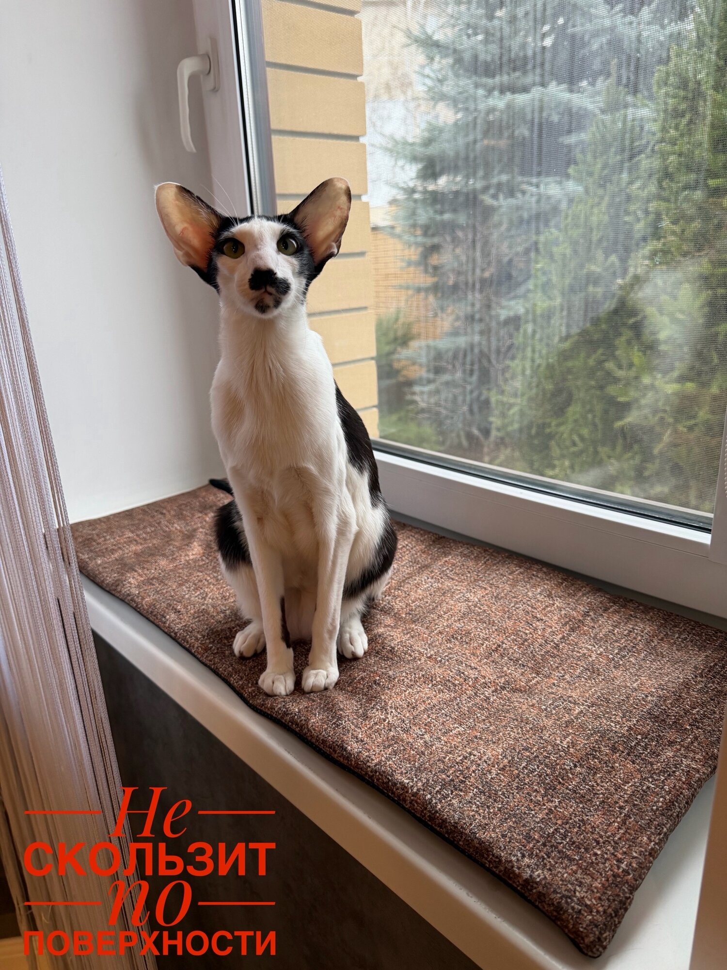 Лежанка 85*35 для кошек и собак на подоконник, на пол, в переноску. Антискользящая.