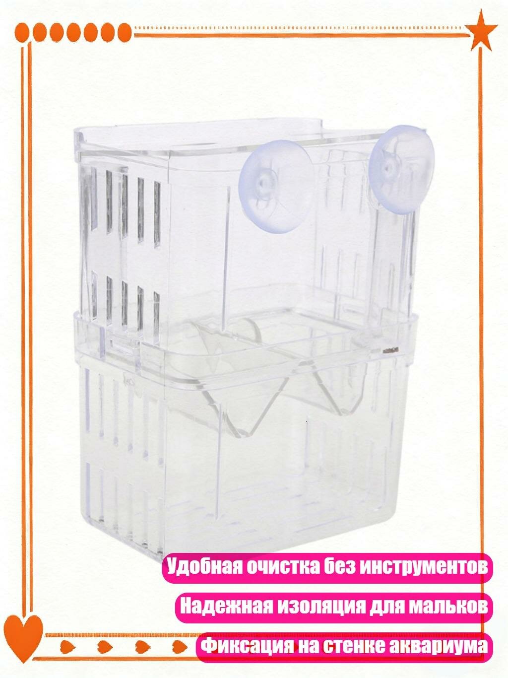 Прозрачная коробка для разведения рыбы, L