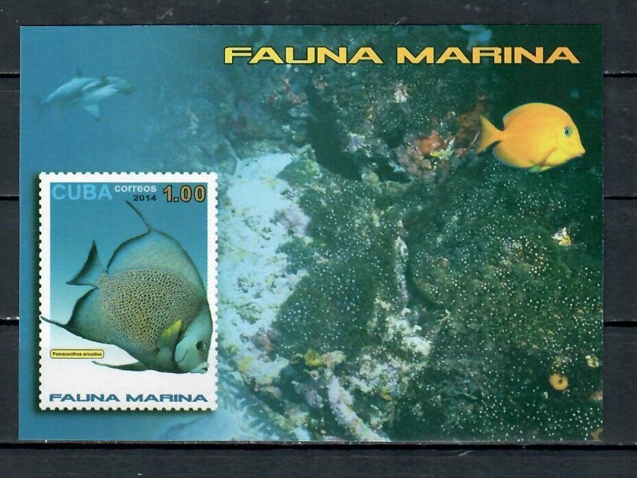 Почтовые марки Куба 2014г. "Морская жизнь" Рыбы, Морские животные MNH