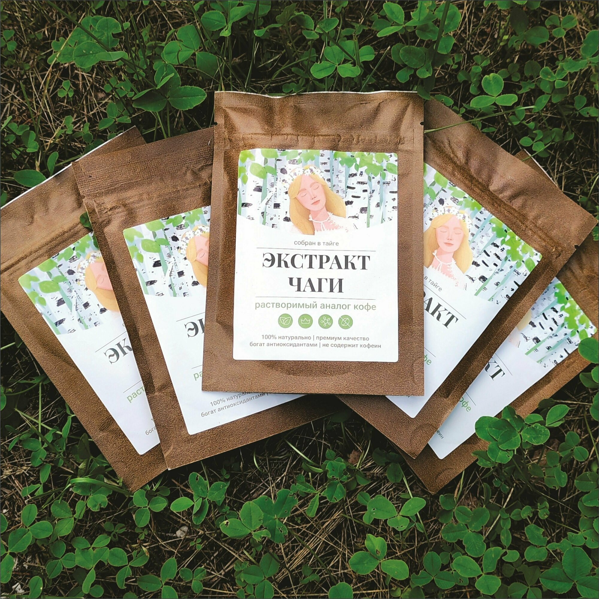 Экстракт растворимый чага натуральная березовая измельченная экстракт 50 г, чай chaga, для здоровья, иммунитета, похудения, для мужчин женщин спортсменов, пп продукты