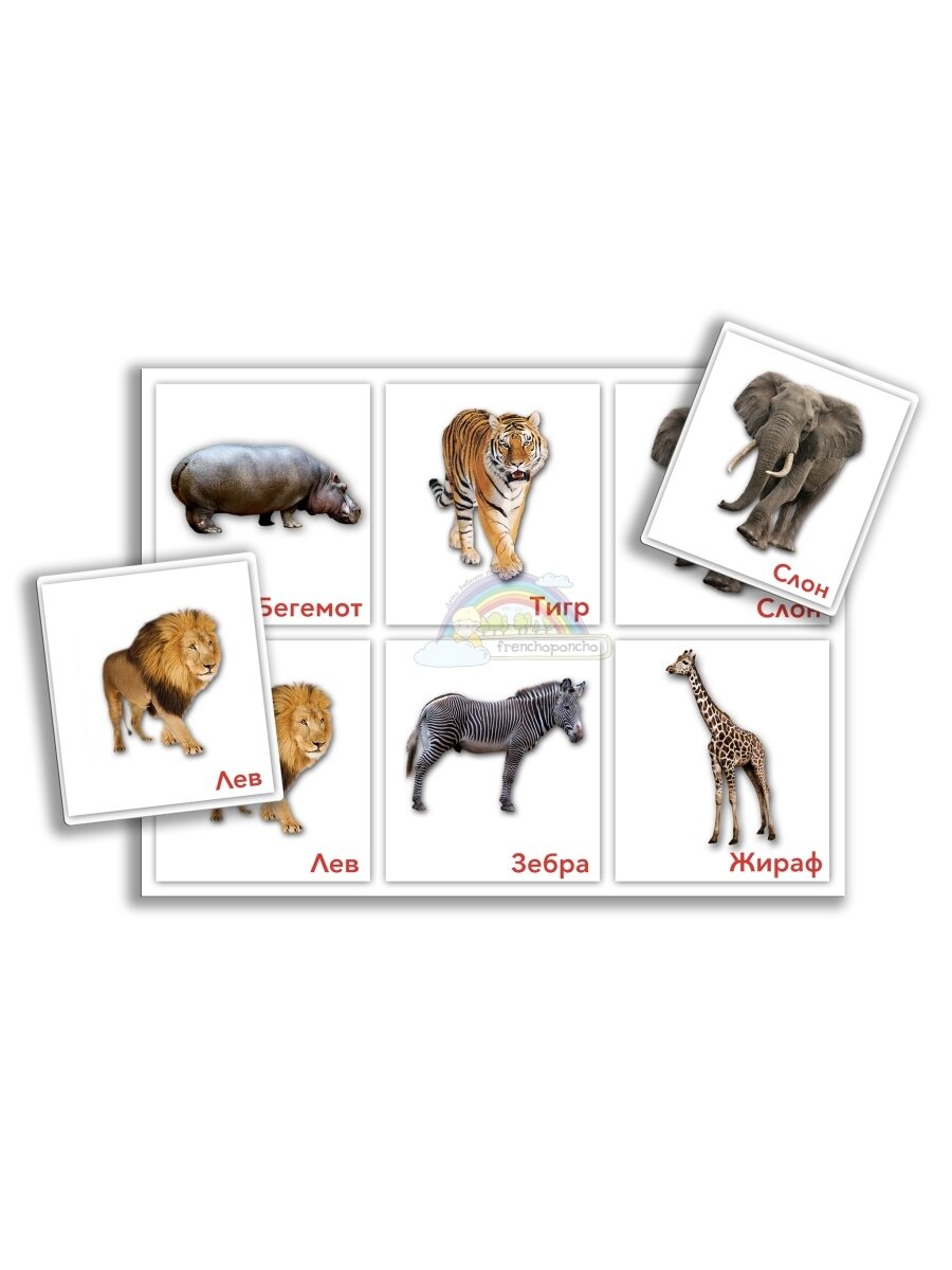 Животные южных стран. Слон и другие. Развивающие пособия на липучках Frenchoponcho (Френчопончо)