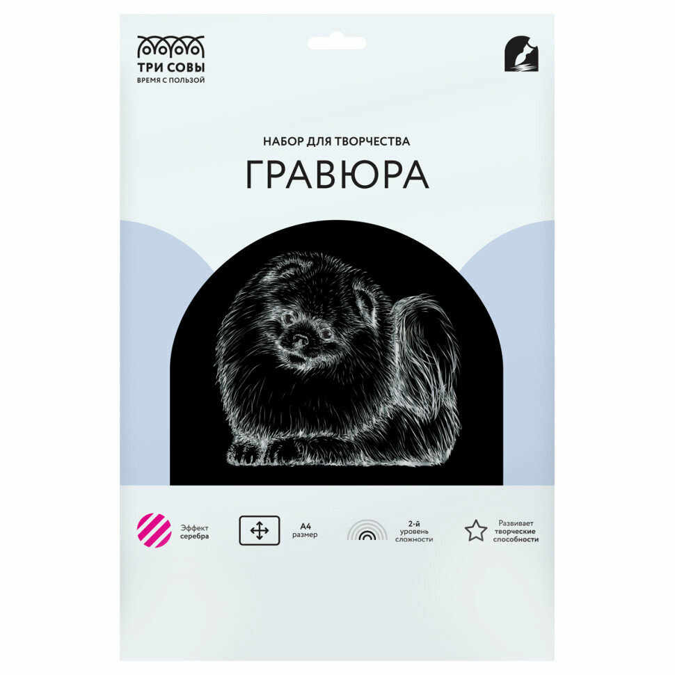 Гравюра с эффектом серебра ТРИ совы "Шпиц", А4, 345925