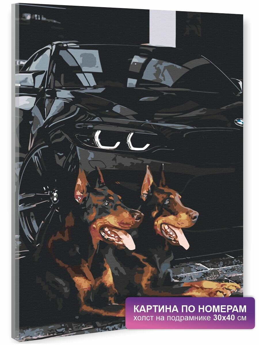 Картина по номерам на холсте с подрамником 30х40 см. Природа, животные, рыбы, птицы. Собаки, щенки. "BMW и доберманы", арт. 3524/