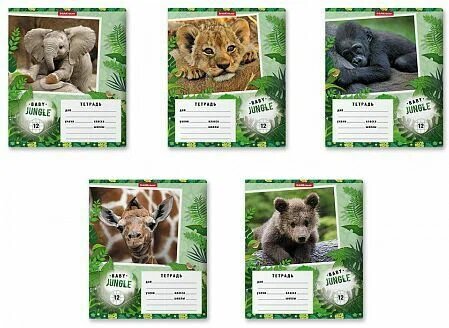 ErichKrause Тетрадь Baby Jungle 48832, клетка, 12 л, 10 шт, микс