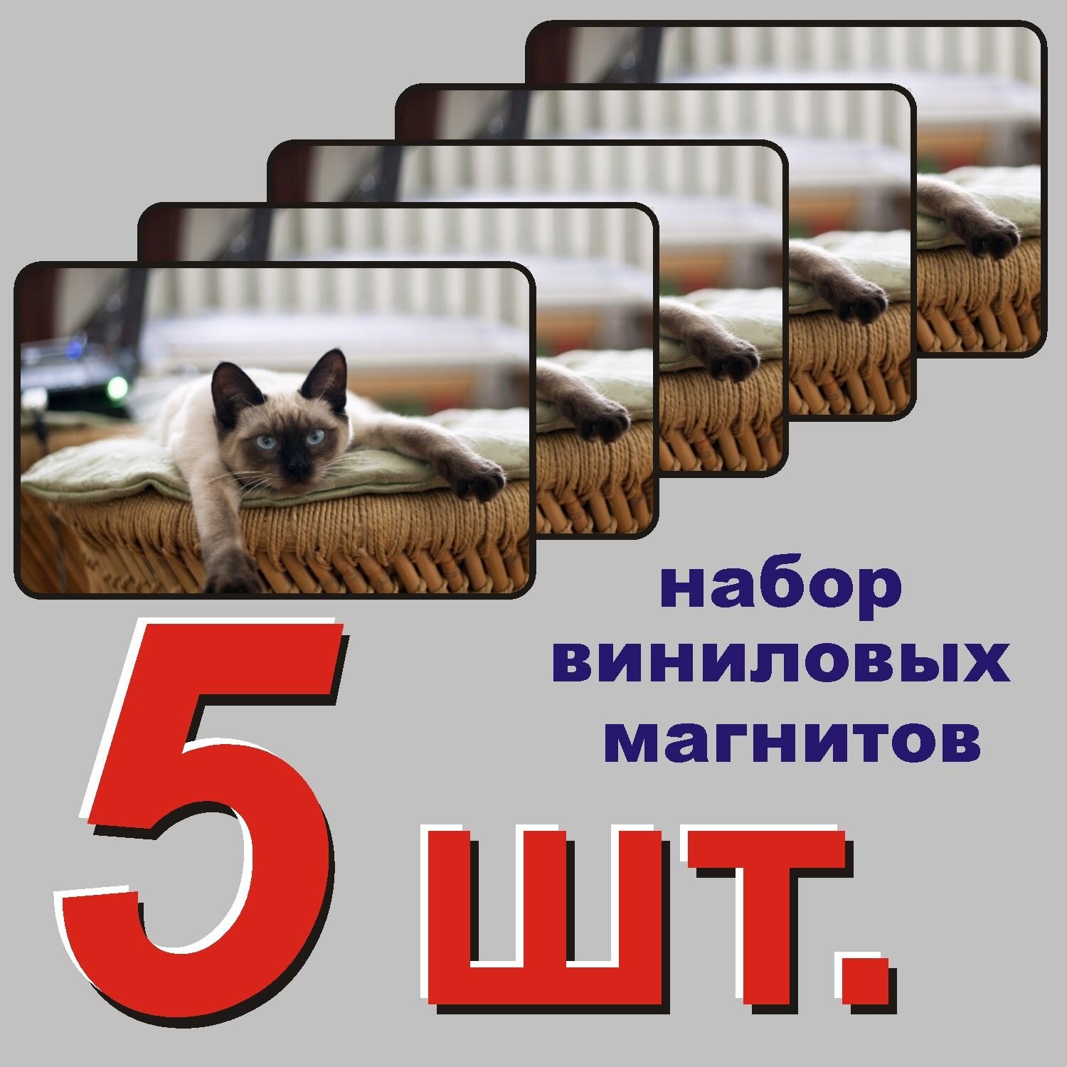 Магнит на холодильник "Котики" 5 шт.