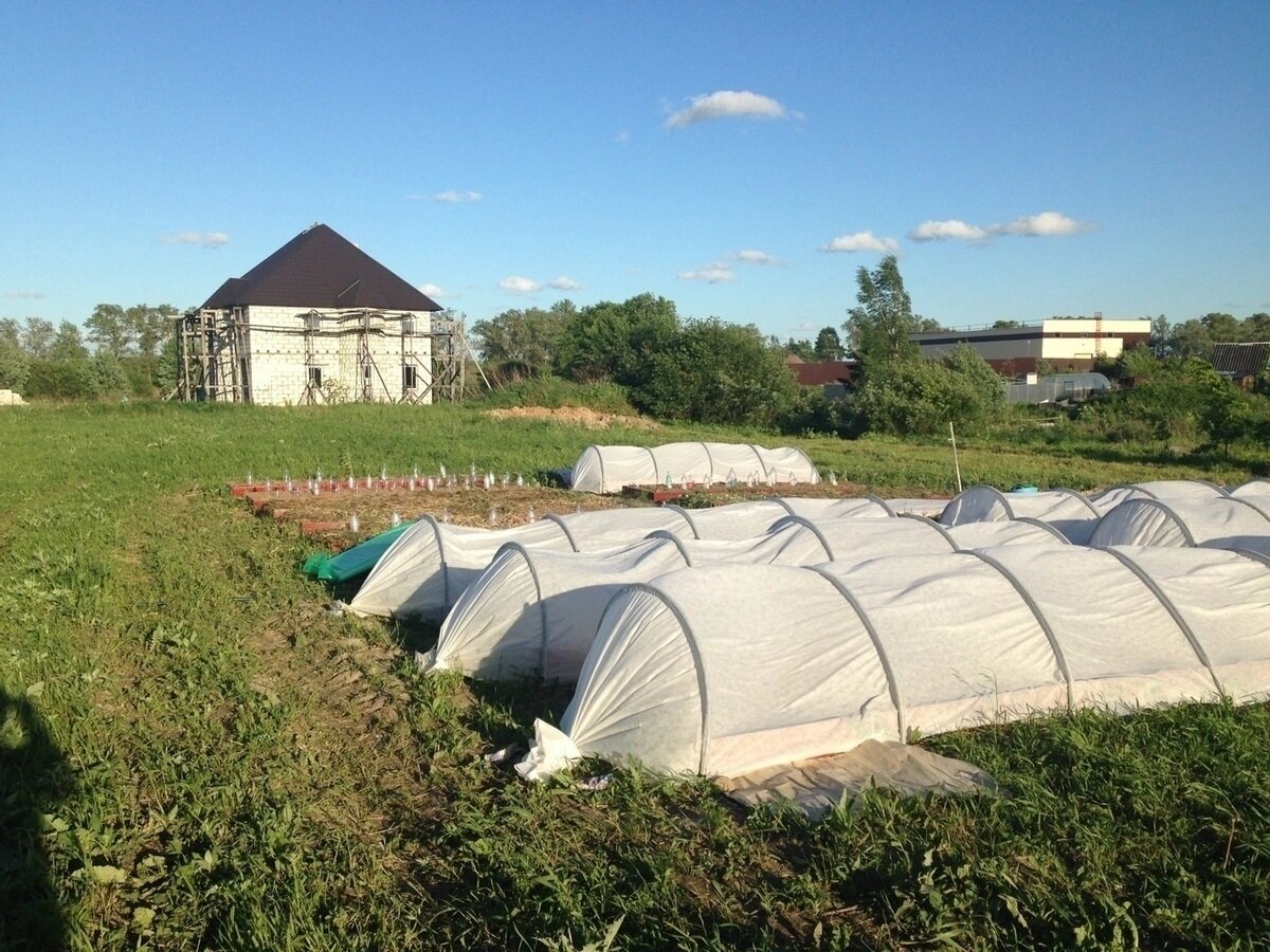 Парник, парник для рассады, 6 м, спанбонд.