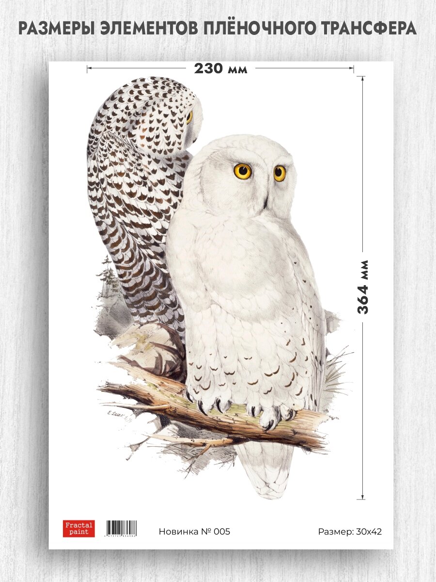 Трансфер для декупажа переводной рисунок для поверхностей новинка 005 А3