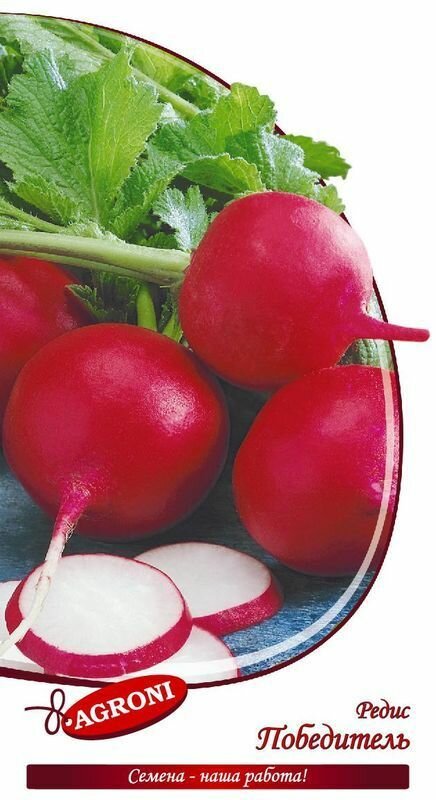 Редис Победитель