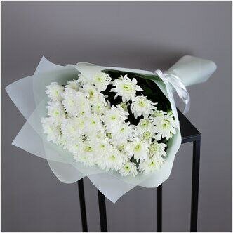 Монобукет "Хризантема кустовая", 5 шт, белый