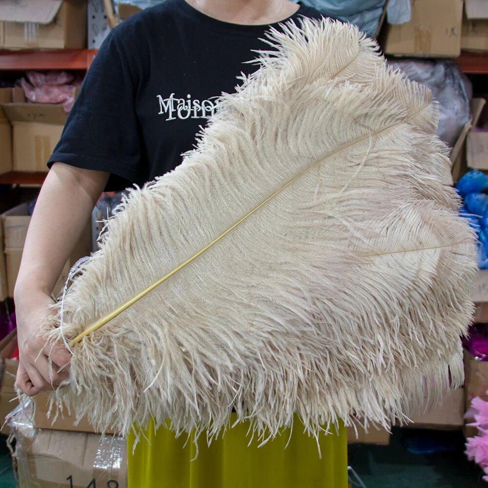 Страусиные перья WqlcraftS 10 шт. 15-60 см 15-20cm 6-8inch, Khaki