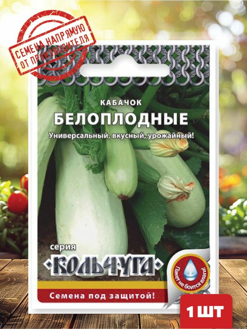 Кабачок Белоплодные "Кольчуга NEW"