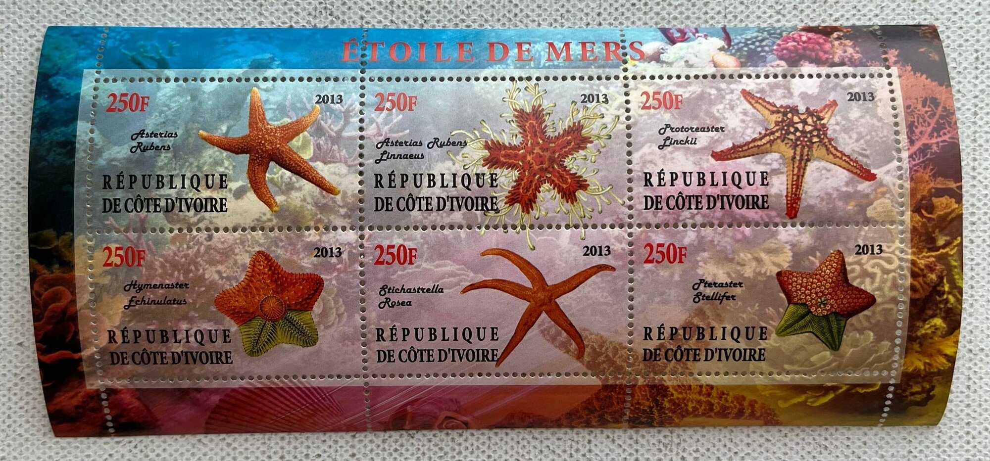 Кот д'Ивуар 2013 год, Морские звезды