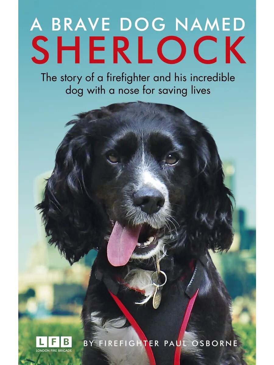 A Brave Dog Named Sherlock / Книга на Английском