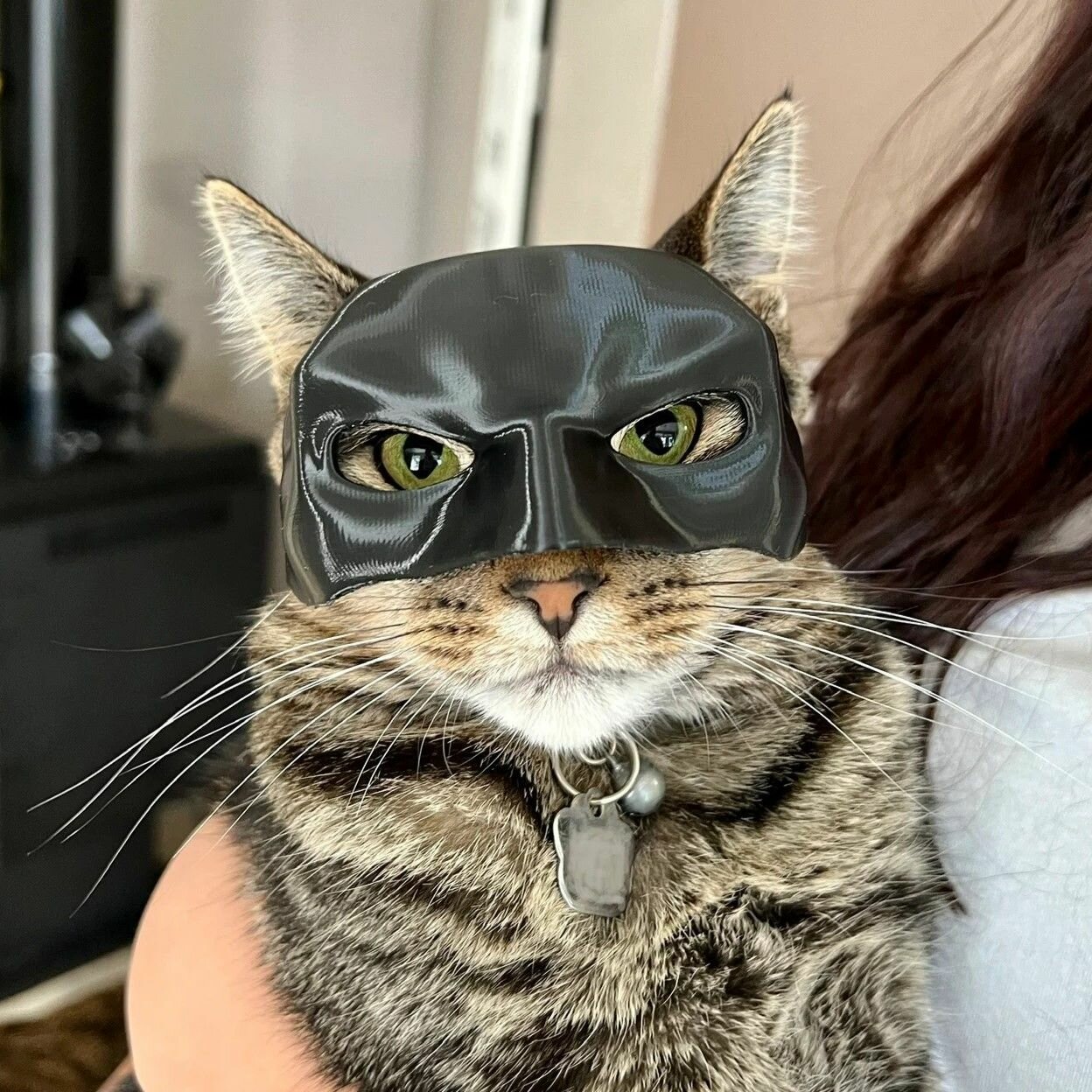 Маска бэтмена для кота