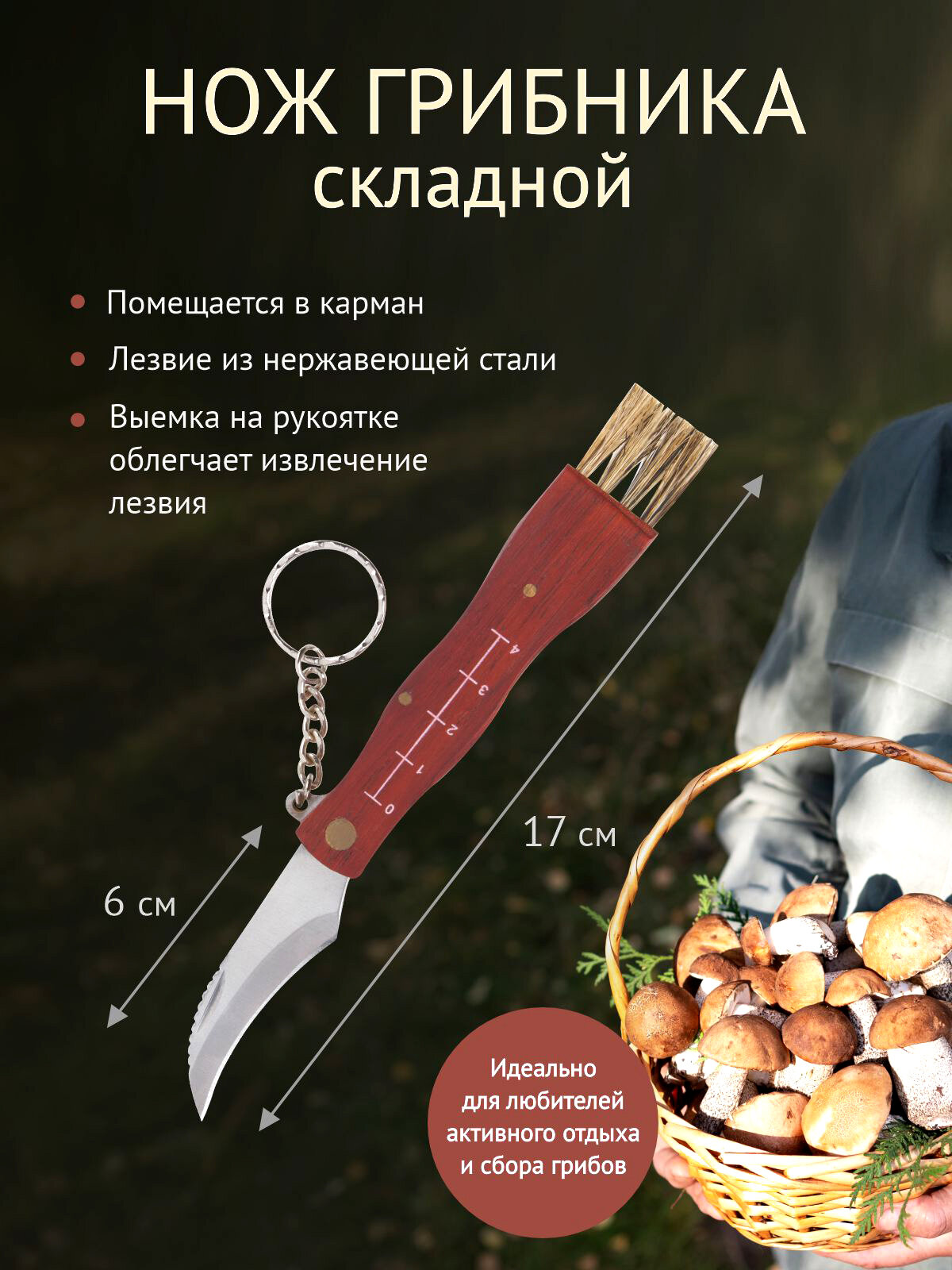 Нож грибника складной 17 см с щеткой