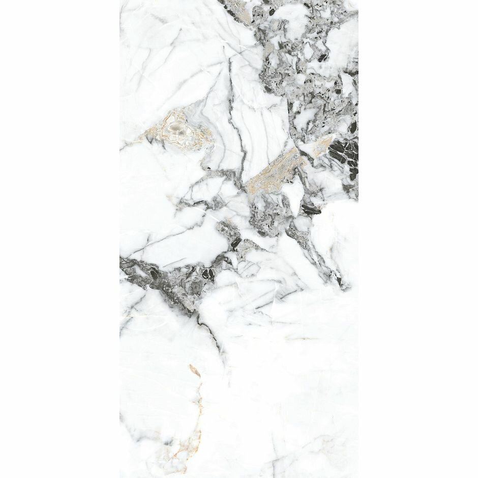 Керамогранит Basconi Home (Баскони Хоме) Bianco Gold Full Body-6 Polished Белый 60x120x0.8 см, BHW-0035-6 (1.44 м2)