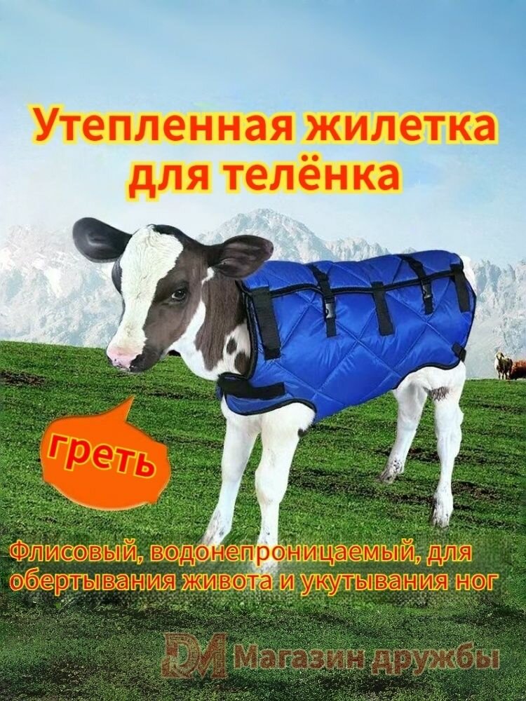 Защитите своих коров и телят от русской зимы! Прочная утепленная попона для животных.