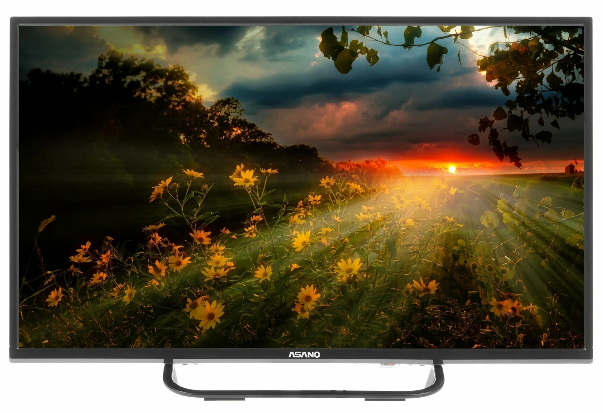 Телевизор Asano 32LH1110T, с защитой от детей, LED, 32", HD, чёрный
