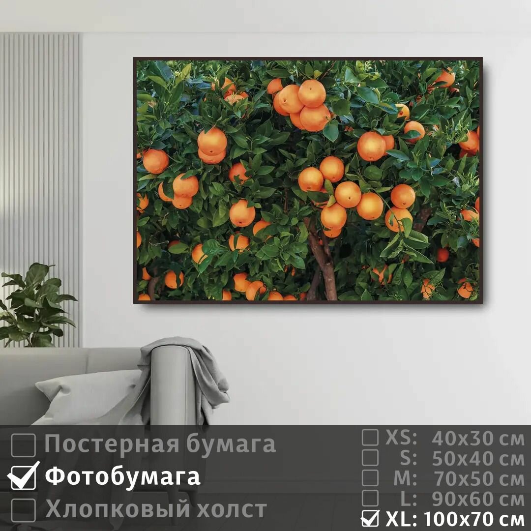 Постер на фотобумаге Испанские Апельсины 100х70 см ПолиЦентр
