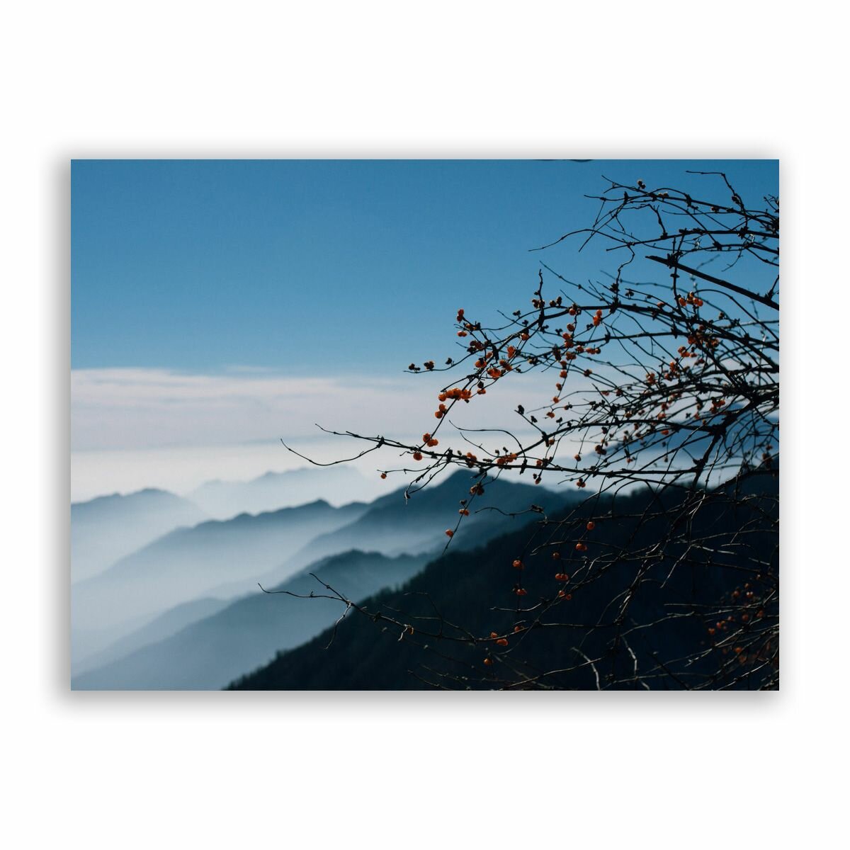 Постер, плакат на бумаге / Природа Китая - Горы / Размер 80 x 106 см