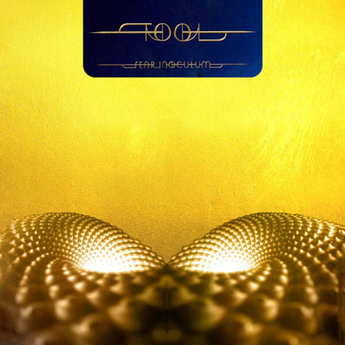 Виниловая пластинка Tool "Fear Inoculum" Lp