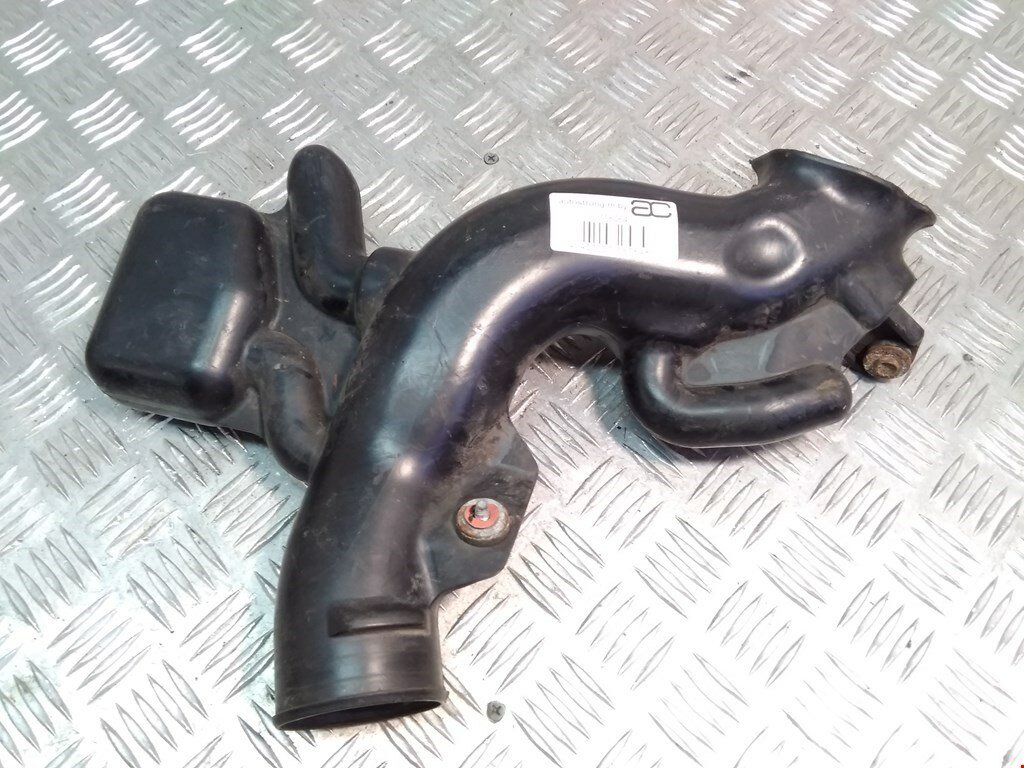 Воздухозаборник (наружный) Honda CR-V 2 17251RMAE01 арт. 718064