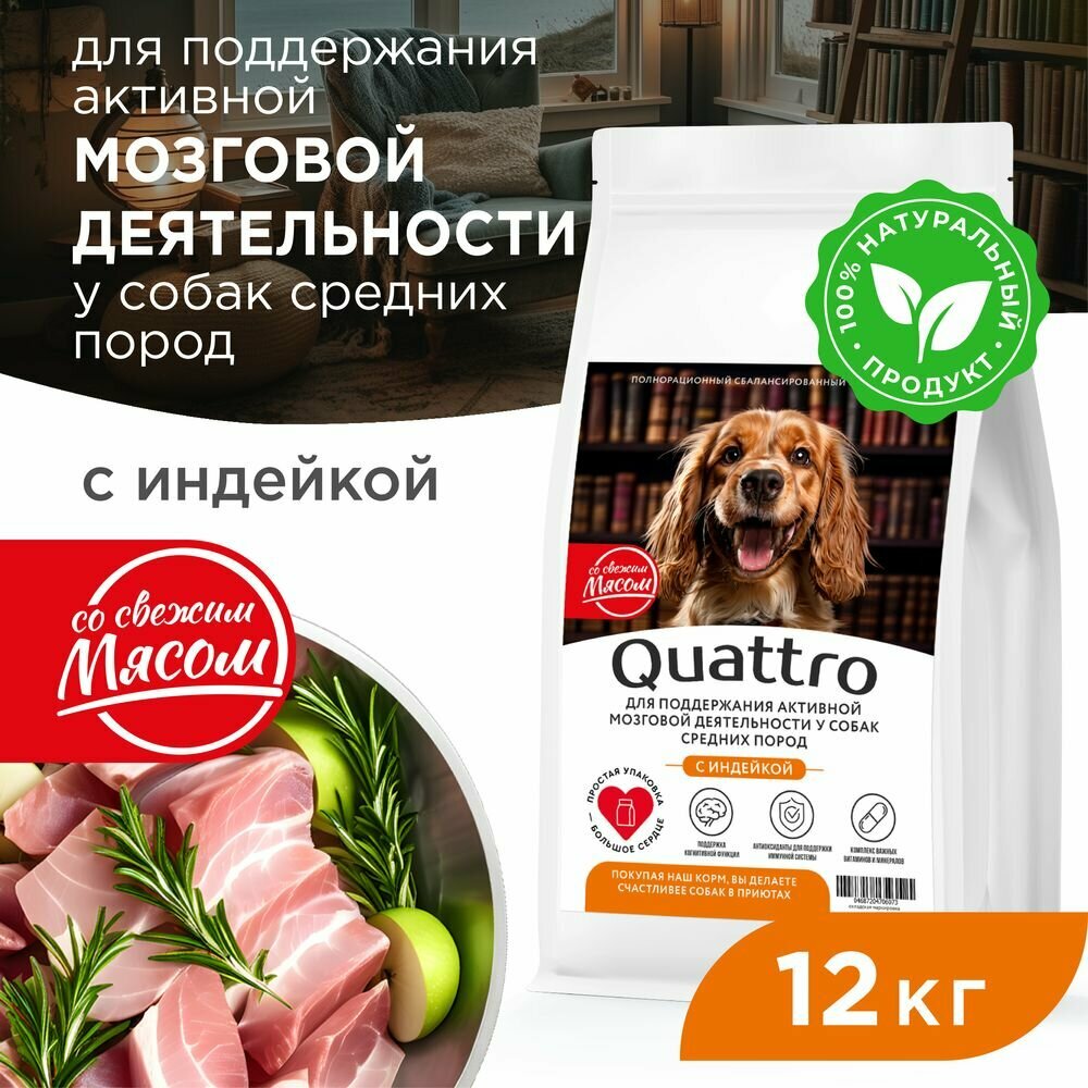 Корм сухой для взрослых собак средних пород, премиум полнорационный комплекс, забота о памяти и мозговой активности, с индейкой, 12 кг, QUATTRO