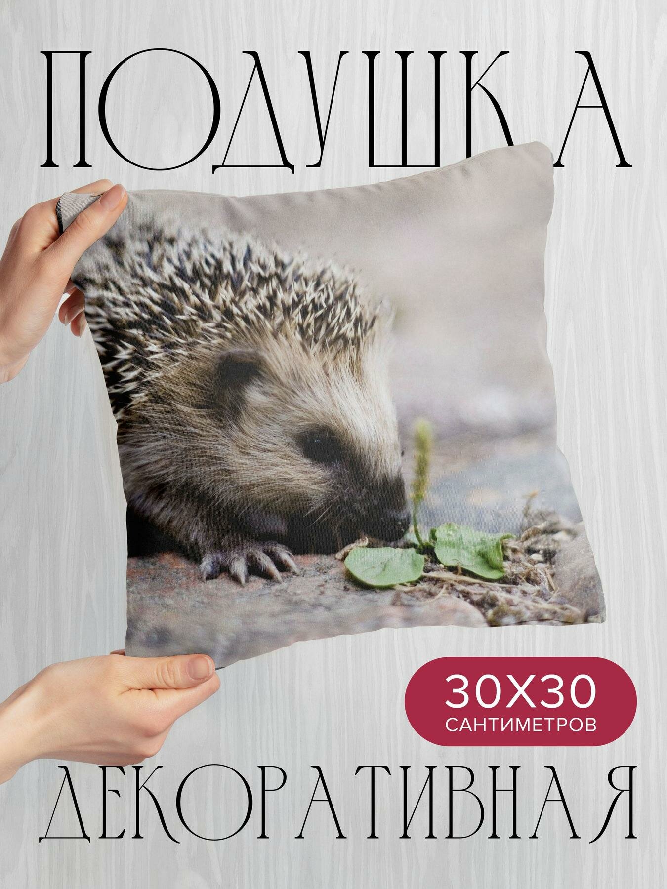 Подушка декоративная, 30x30см / Животные / ежик / носик