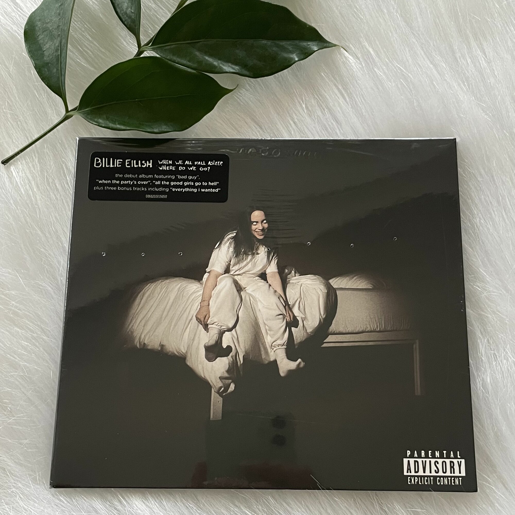 CD Альбомы When We All Fall Asleep 17 треков