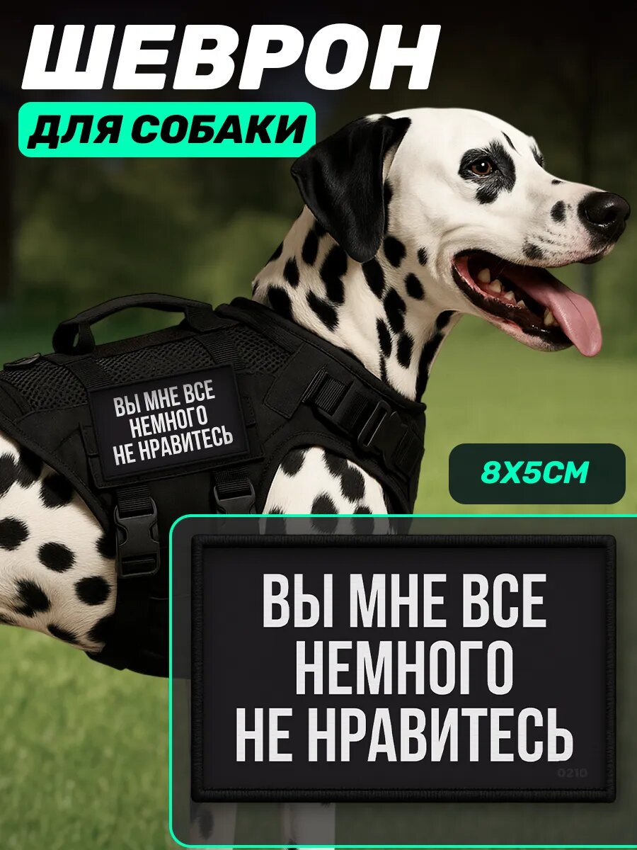 Шеврон на шлейку для собак Вы мне все немного не нравитесь