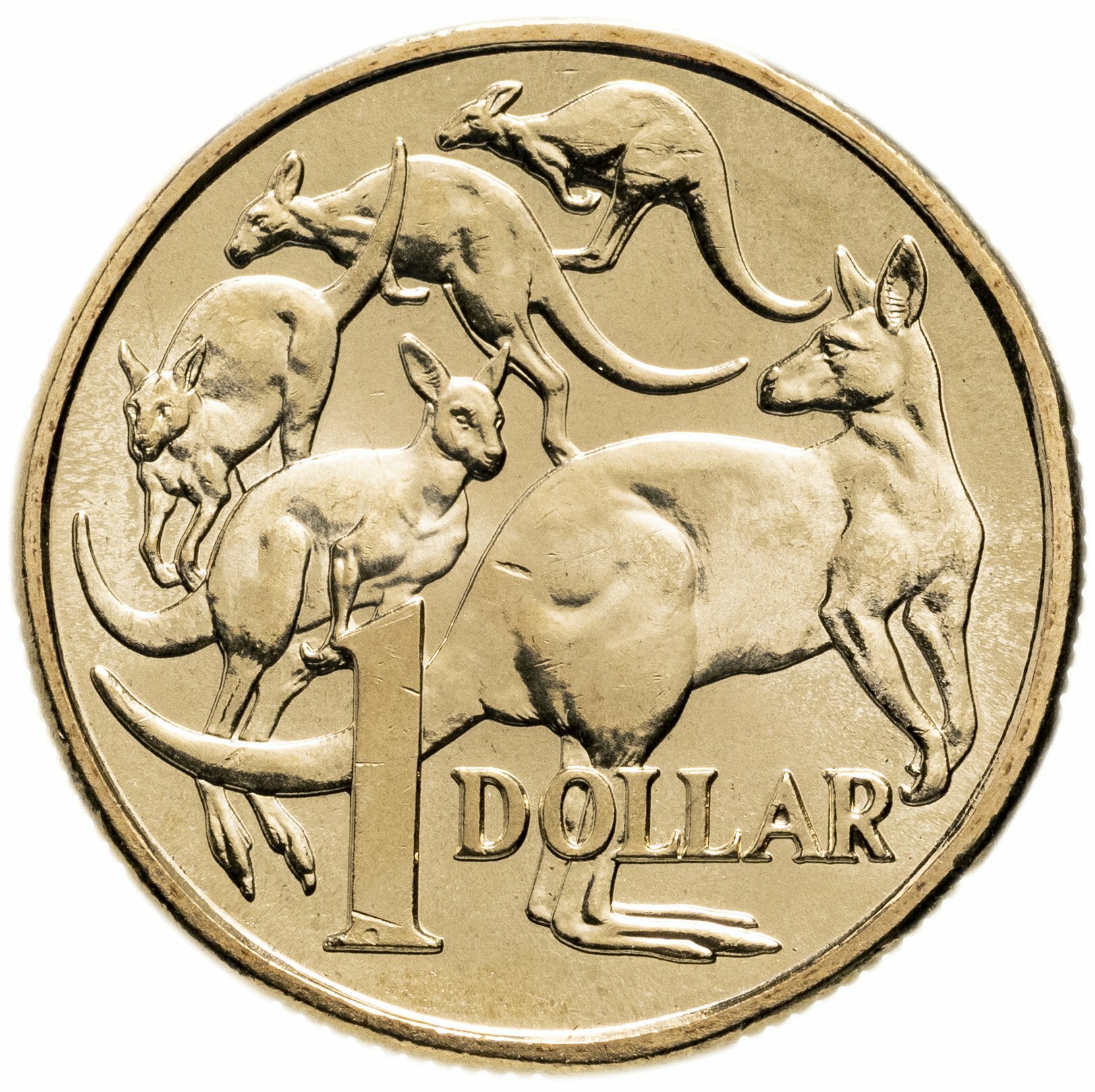 Австралия 1 доллар 2023 Чарльз III новый тип, Кенгуру, Животные, Фауна, Алюминиевая бронза, в сохранности UNC