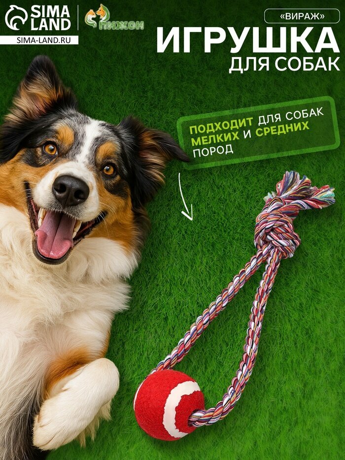 Игрушка канатная Вираж, с мячом, до 135 г, до 37 см, цвет микс